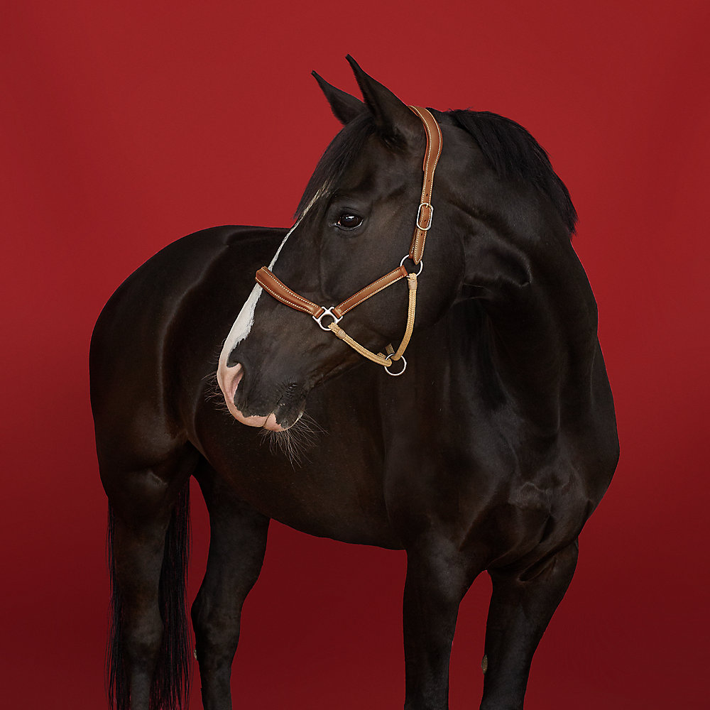 Cabestro ergonómico | Hermès España