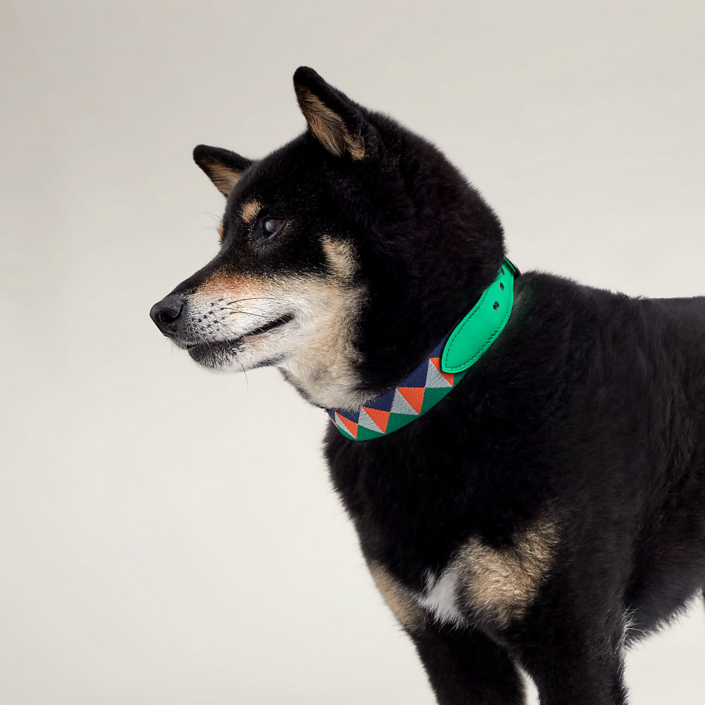 Collier pour chien Médor | Hermès Belgique