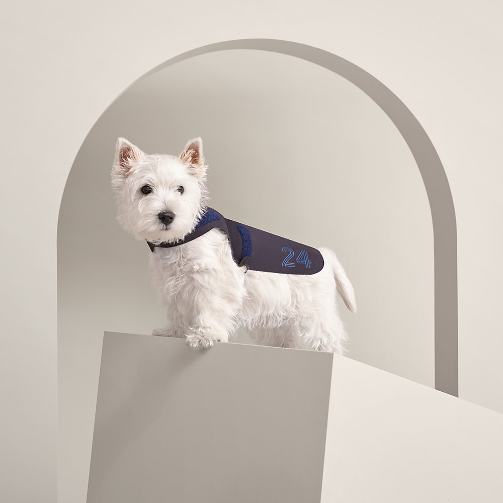 Course 24 dog raincoat, XS and S | Hermès USA
