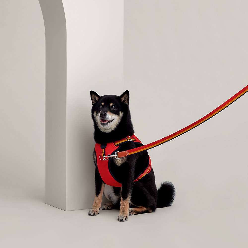 Jump dog harness, M and L | Hermès USA
