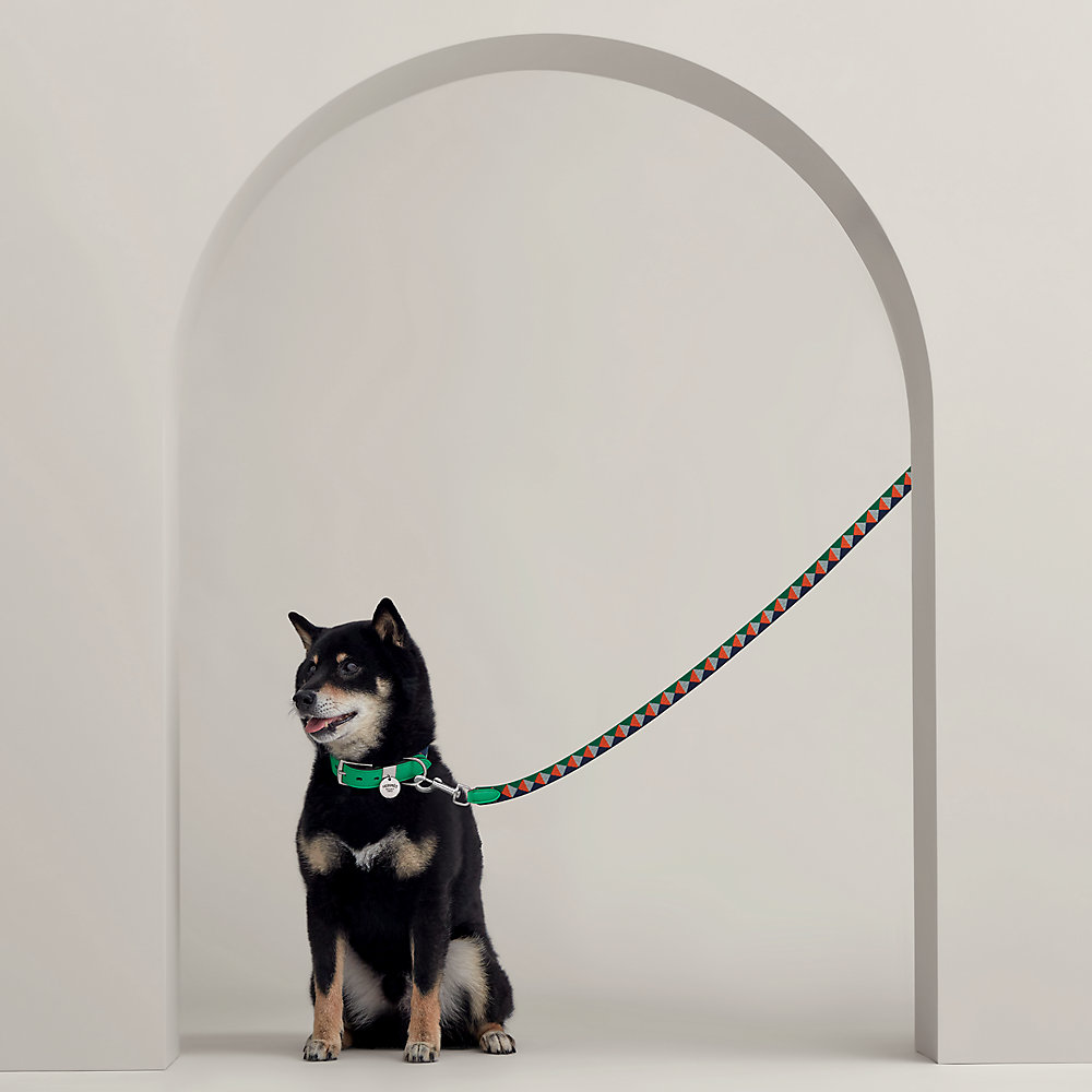 Laisse pour chien Médor | Hermès Suisse