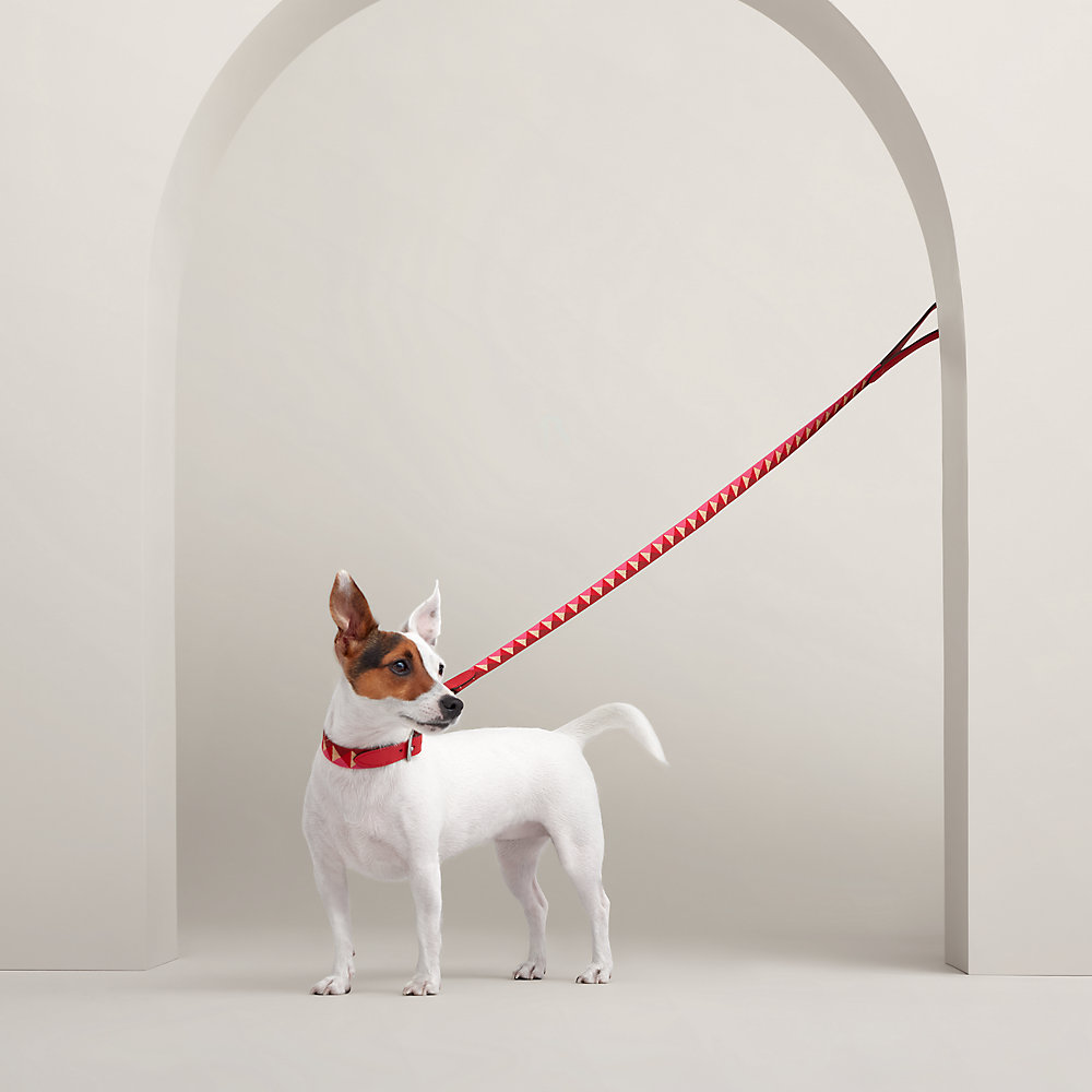 Laisse pour chien Médor | Hermès Canada