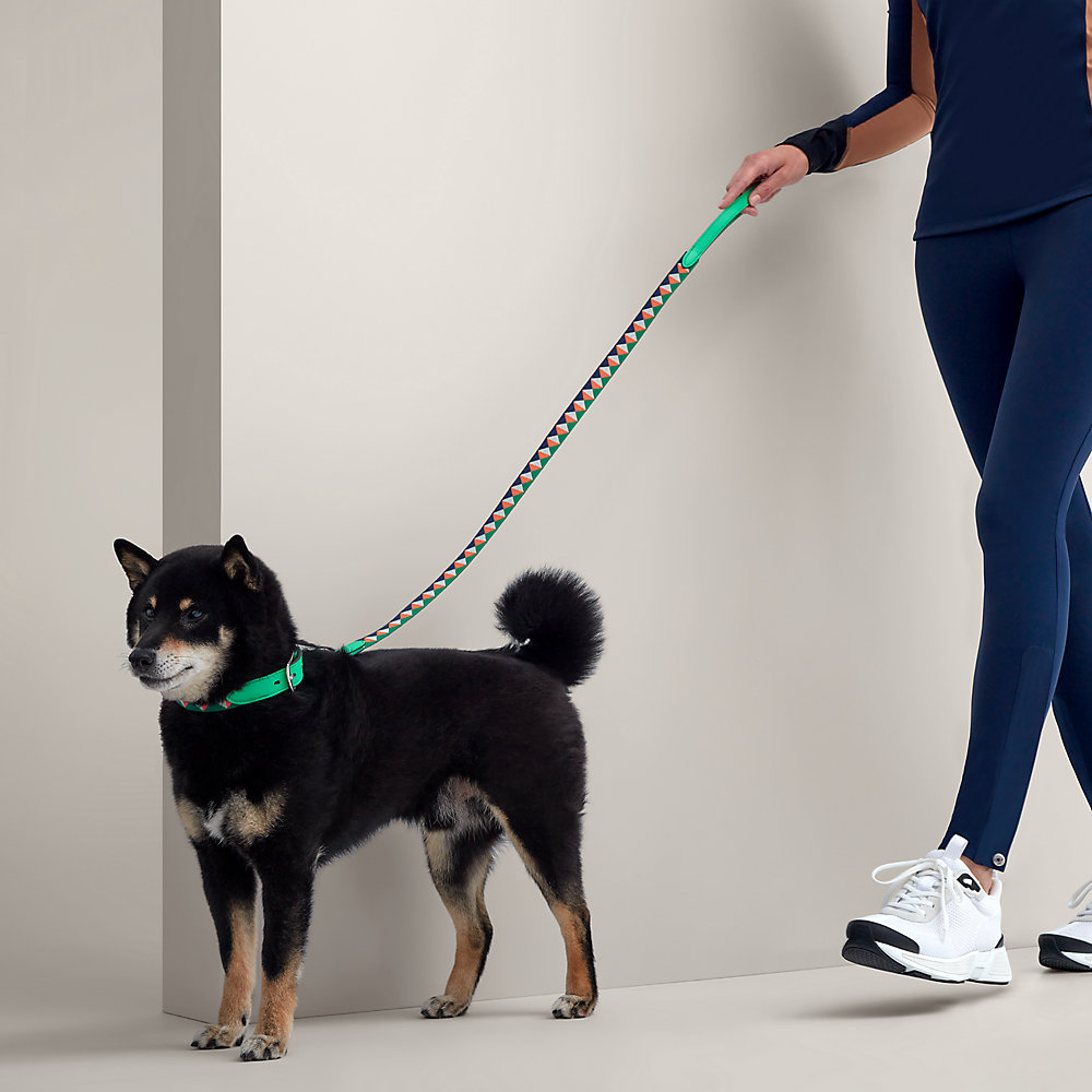 Laisse pour chien Médor slim | Hermès Belgique