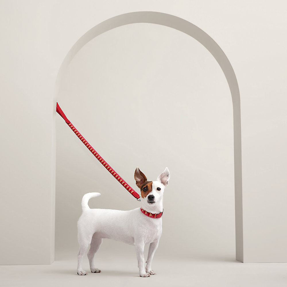 Laisse pour chien Médor slim | Hermès Canada